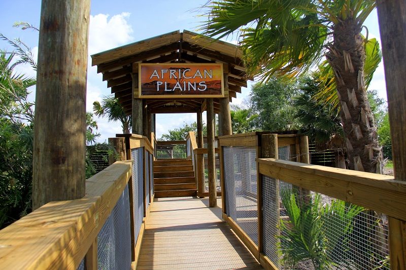 Orlando: Wild Florida Park Ticket and Gator Shows - What You Can Expect from Your Visit to Wild Florida