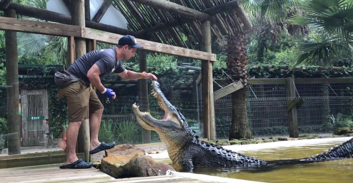 Orlando: Wild Florida Park Ticket and Gator Shows - The Practical Side: Logistics, Pricing, and Tips