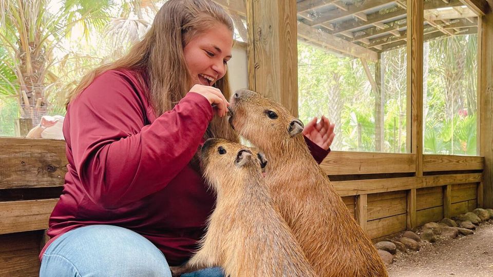 Orlando: Wild Florida Park Ticket and Gator Shows - Who Will Love This Experience?