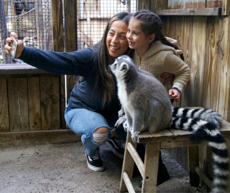 Orlando: Wild Florida Park Ticket and Gator Shows - Final Thoughts: The Value and Appeal of Wild Florida