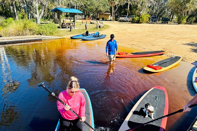 Ormond Beach Manatee and Nature Tour Kayaking or Paddle Boarding - What to Expect and Why It Matters