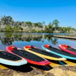 Ormond Beach Manatee and Nature Tour Kayaking or Paddle Boarding - Authentic Experiences Shared by Reviewers