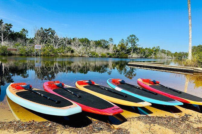 Ormond Beach Manatee and Nature Tour Kayaking or Paddle Boarding - Authentic Experiences Shared by Reviewers