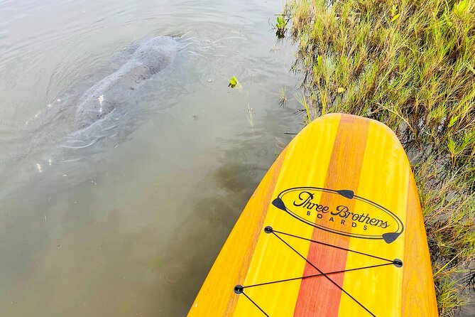 Ormond Beach Manatee and Nature Tour Kayaking or Paddle Boarding - The Sum Up: Who Will Love This Tour?