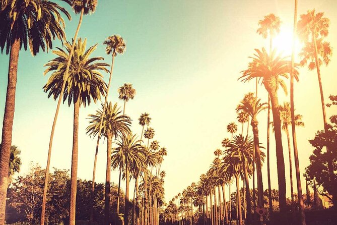 Our Signature Tour: 3.5-Hour LA Story Tour - The Sum Up