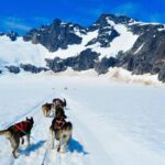 Overnight Yurt Adventure and Kayak Tour near Seward, Alaska - The Remote Yurt Camp Experience