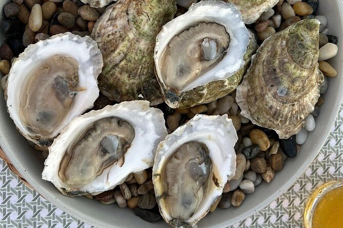 Oyster and Wine Tasting in a Cozy Seaside Lodge - Discovering Maine’s Winter Oyster Scene