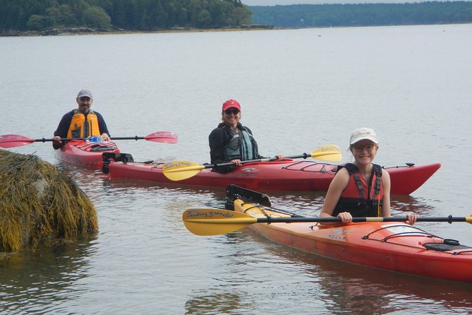 Oyster Farm & Complimentary Tasting Sea Kayak Tour in Casco Bay - What Travelers Love About This Experience