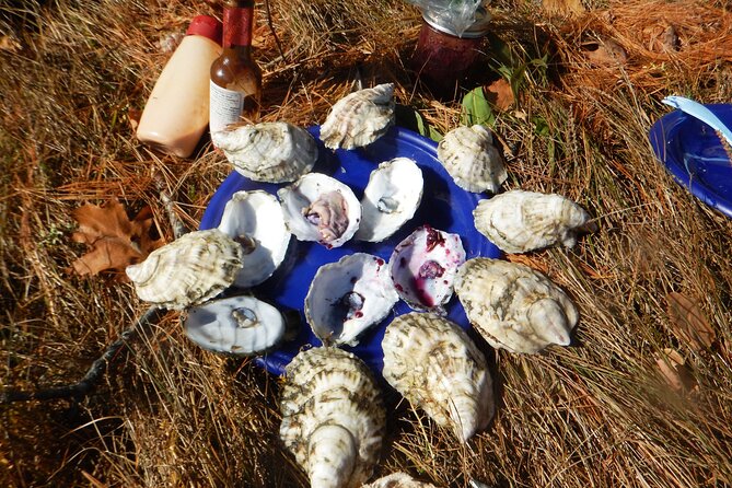 Oyster Farm & Complimentary Tasting Sea Kayak Tour in Casco Bay - The Value of the $99 Price Tag
