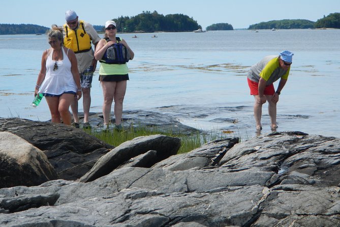 Oyster Farm & Complimentary Tasting Sea Kayak Tour in Casco Bay - The Experience in Detail