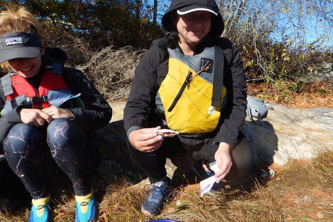Oyster Farm & Complimentary Tasting Sea Kayak Tour in Casco Bay - Who Will Love This Tour?