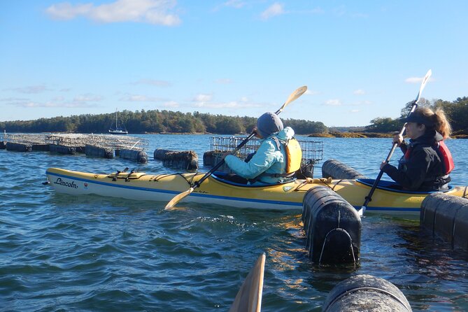 Oyster Farm & Complimentary Tasting Sea Kayak Tour in Casco Bay - The Sum Up