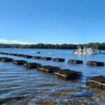 Oyster Tasting and Kayak Tour - Practical Tips and Considerations