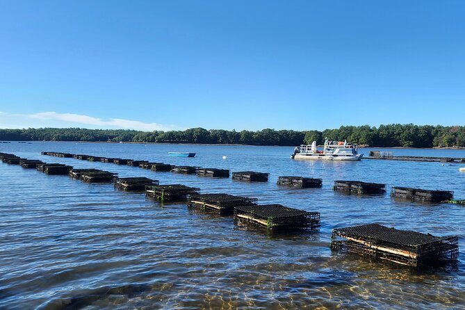 Oyster Tasting and Kayak Tour - Practical Tips and Considerations