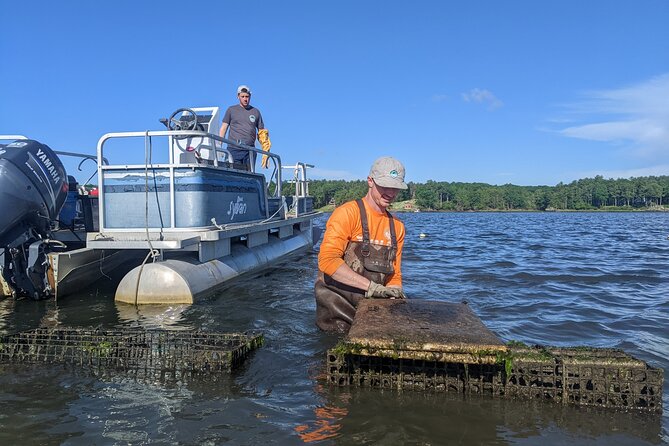 Oyster Tasting and Kayak Tour - Who Will Love This Tour?