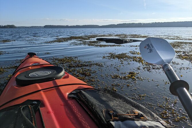 Oyster Tasting and Kayak Tour - FAQ