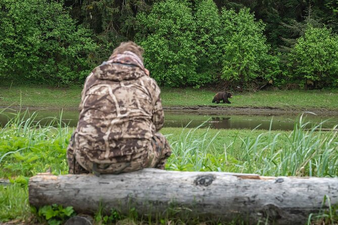 Pack Creek Bear Viewing - An In-Depth Look at the Pack Creek Bear Viewing Tour
