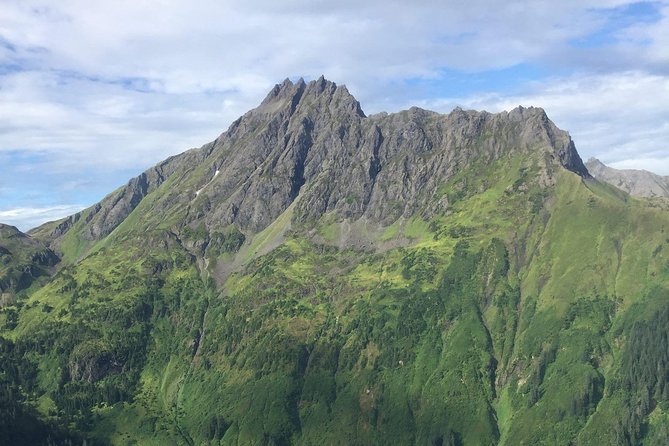 Pack Creek Brown Bear Viewing Juneau - An In-Depth Look at the Experience