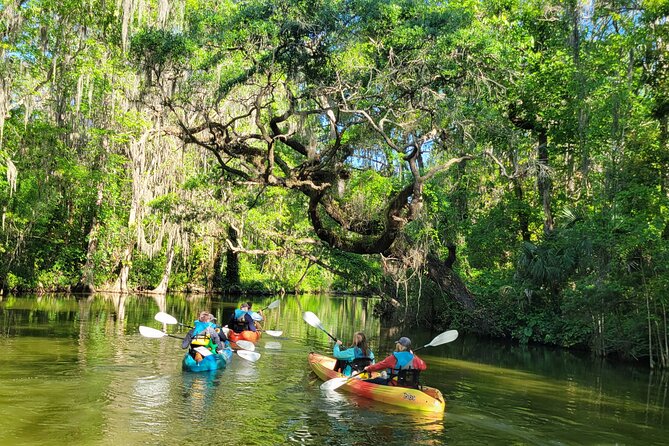 Paddle and Brew Adventure in Tavares with Beer Flight Tasting - FAQ
