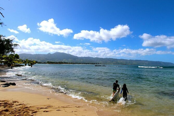 Paddle Board Hale'iwa with Rescue Dogs - Key Points