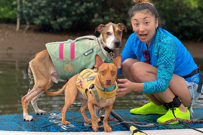 Paddle Board Hale'iwa with Rescue Dogs - An Authentic Hawaii Water and Canine Experience