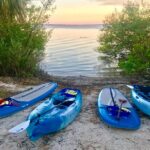 Paddle Board or Kayak Eco Dolphin Manatee Tour - What the Equipment and Logistics Mean for You