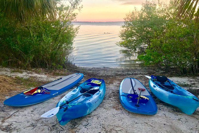 Paddle Board or Kayak Eco Dolphin Manatee Tour - What the Equipment and Logistics Mean for You