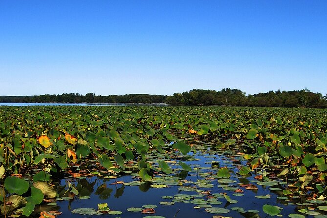 Paddle Board Rental in Indian Lake - Exploring Indian Lake by Paddle Board