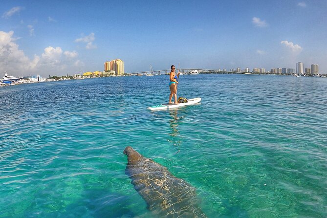 Paddle Boarding Activity to Peanut Island - An In-Depth Look at the Peanut Island Paddleboarding Tour
