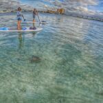 Paddle Boarding Activity to Peanut Island - Why This Tour Offers Great Value