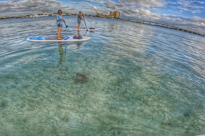 Paddle Boarding Activity to Peanut Island - Why This Tour Offers Great Value