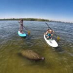 Paddle Boarding Eco Adventure Tour Jupiter Florida - Singer Island - Practical Details and Tips for Your Tour
