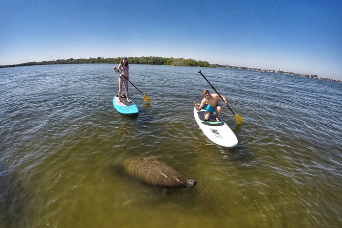Paddle Boarding Eco Adventure Tour Jupiter Florida - Singer Island - Practical Details and Tips for Your Tour