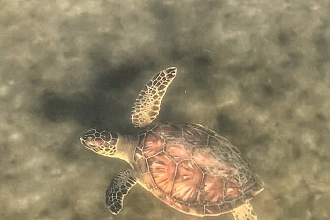Paddle Boarding Eco Adventure Tour Jupiter Florida - Singer Island - Final Thoughts