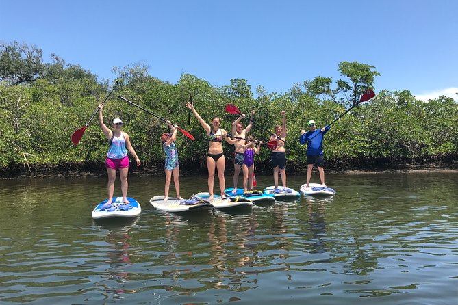 Paddle Boarding Rentals - The Sum Up