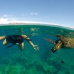 Paddle, Snorkel and Learn to Surf: All in a Day on Maui - Frequently Asked Questions