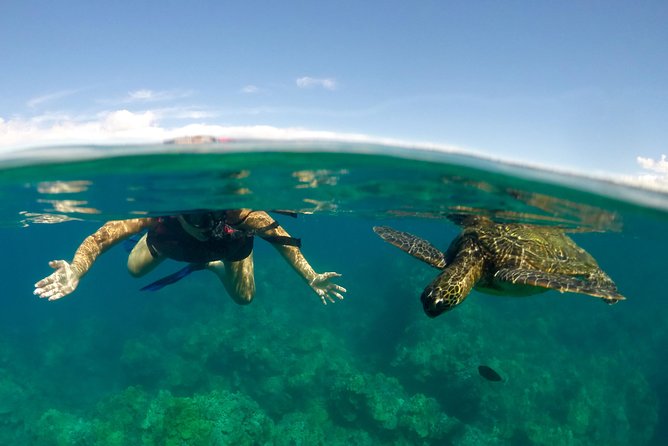 Paddle, Snorkel and Learn to Surf: All in a Day on Maui - Frequently Asked Questions