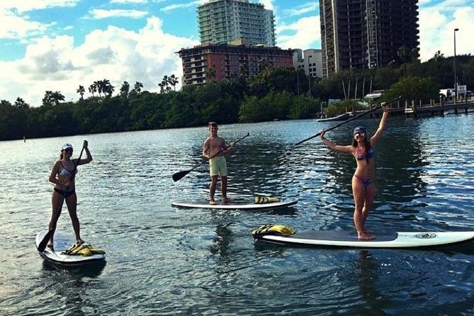 Paddle Sports with Miami Watersports - Discovering Biscayne Bay: What to Expect