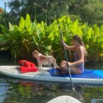 Paddle with Pups in Paradise - Paddleboard or Kayak - Why You Should Consider This Tour