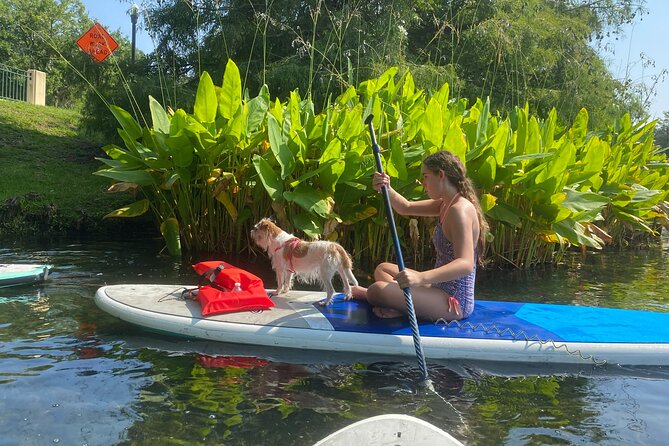 Paddle with Pups in Paradise - Paddleboard or Kayak - Why You Should Consider This Tour