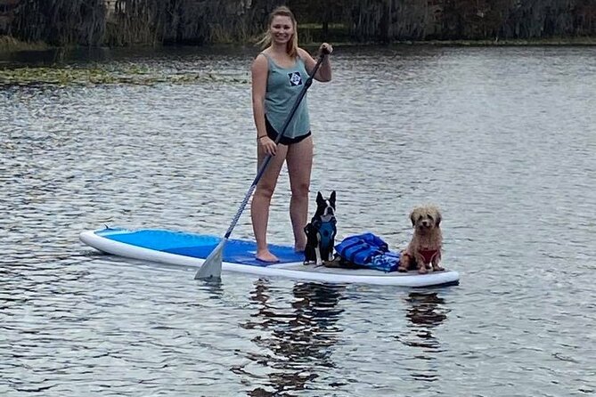 Paddle with Pups in Paradise - Paddleboard or Kayak - Who this tour is best for