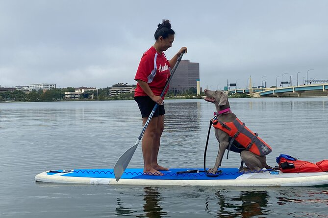 Paddle with Pups in Paradise - Paddleboard or Kayak - Frequently Asked Questions