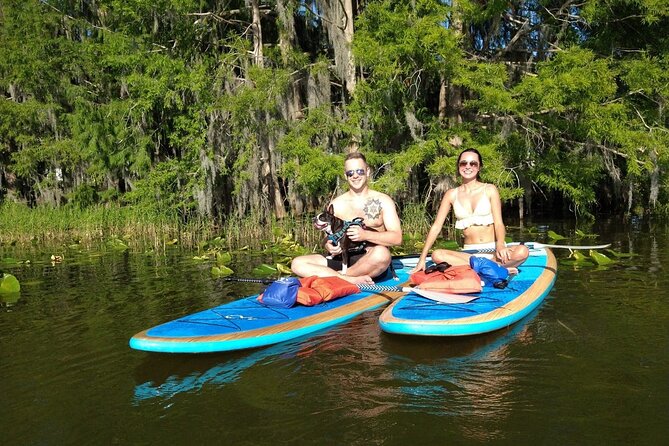 Paddle with Pups in Paradise - Paddleboard or Kayak - Final thoughts