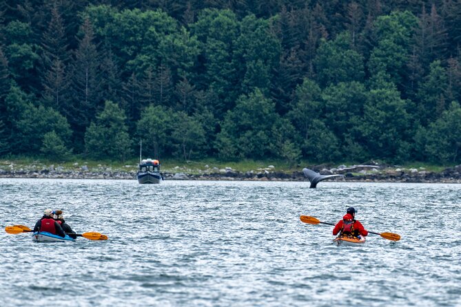 Paddle with Whales Kayak Adventure Juneau - An In-Depth Look at the Paddle with Whales Kayak Adventure