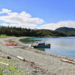 Paddle with Whales Kayak Adventure Juneau - What’s Included and What To Expect