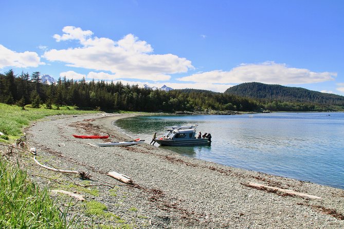 Paddle with Whales Kayak Adventure Juneau - What’s Included and What To Expect