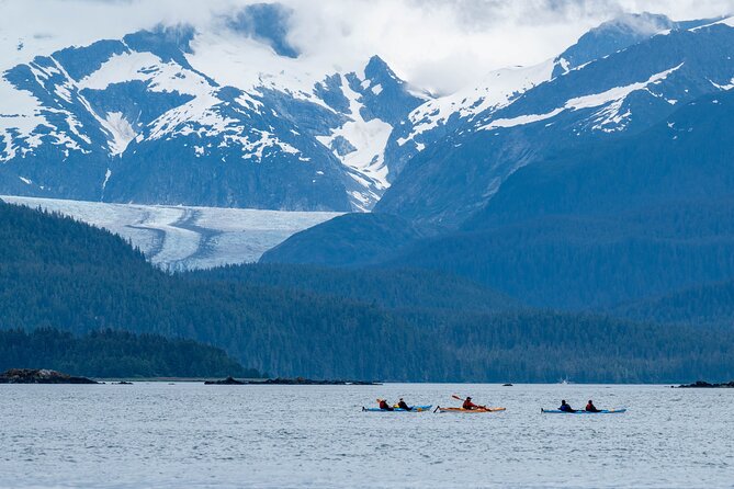Paddle with Whales Kayak Adventure Juneau - The Value of the Experience