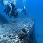 PADI Open Water Certification Course Shared Experience - Who Is This Tour Best For?