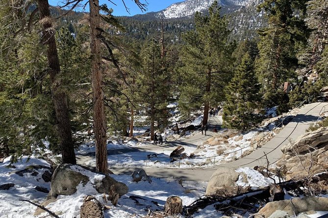 Palm Springs Aerial Tramway Admission Ticket - Key Points  