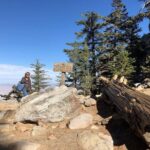 Palm Springs Aerial Tramway Admission Ticket - Exploring the Trails and Wilderness at the Top